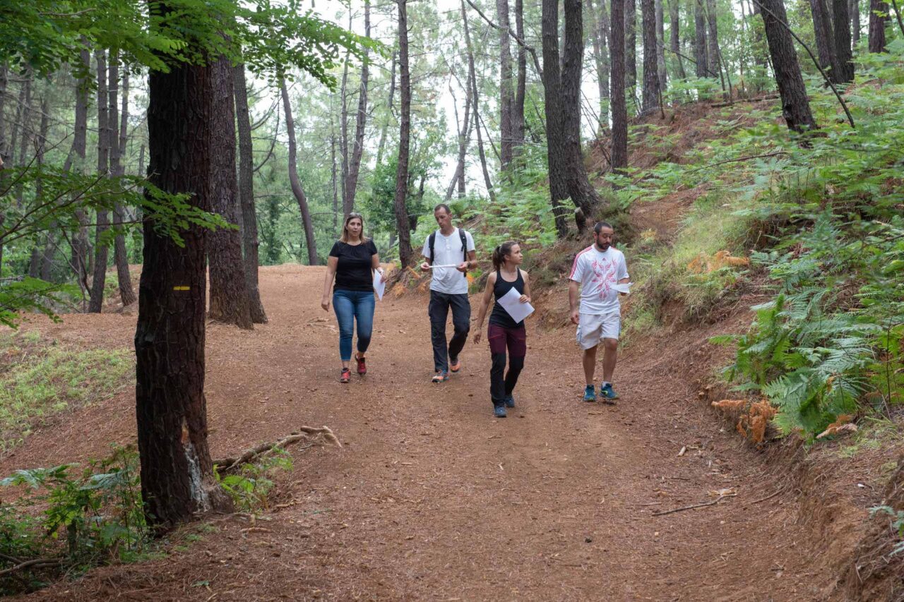 Le parcours permanent de course d’orientation est réhabilité à Alès – Le Mag